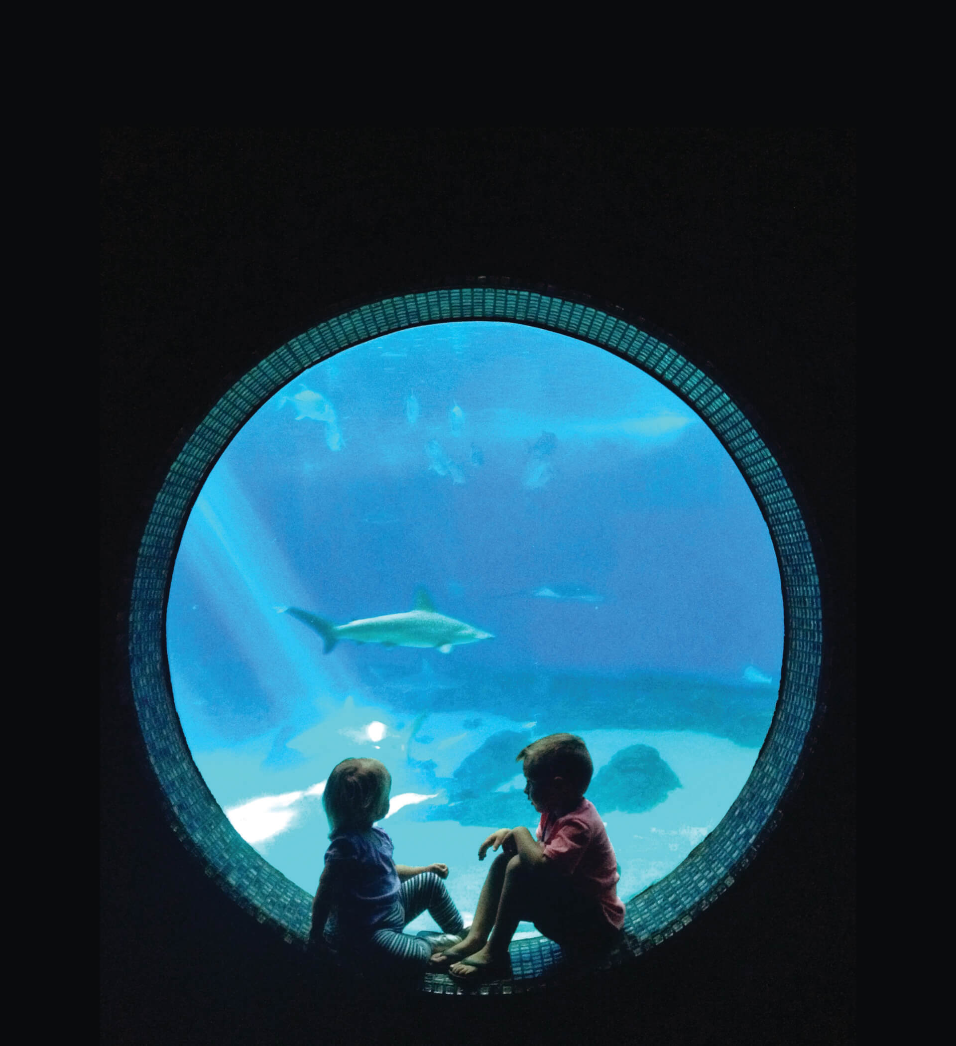 Case Studies - Pollfish Resources Case Studies - Pollfish Resources